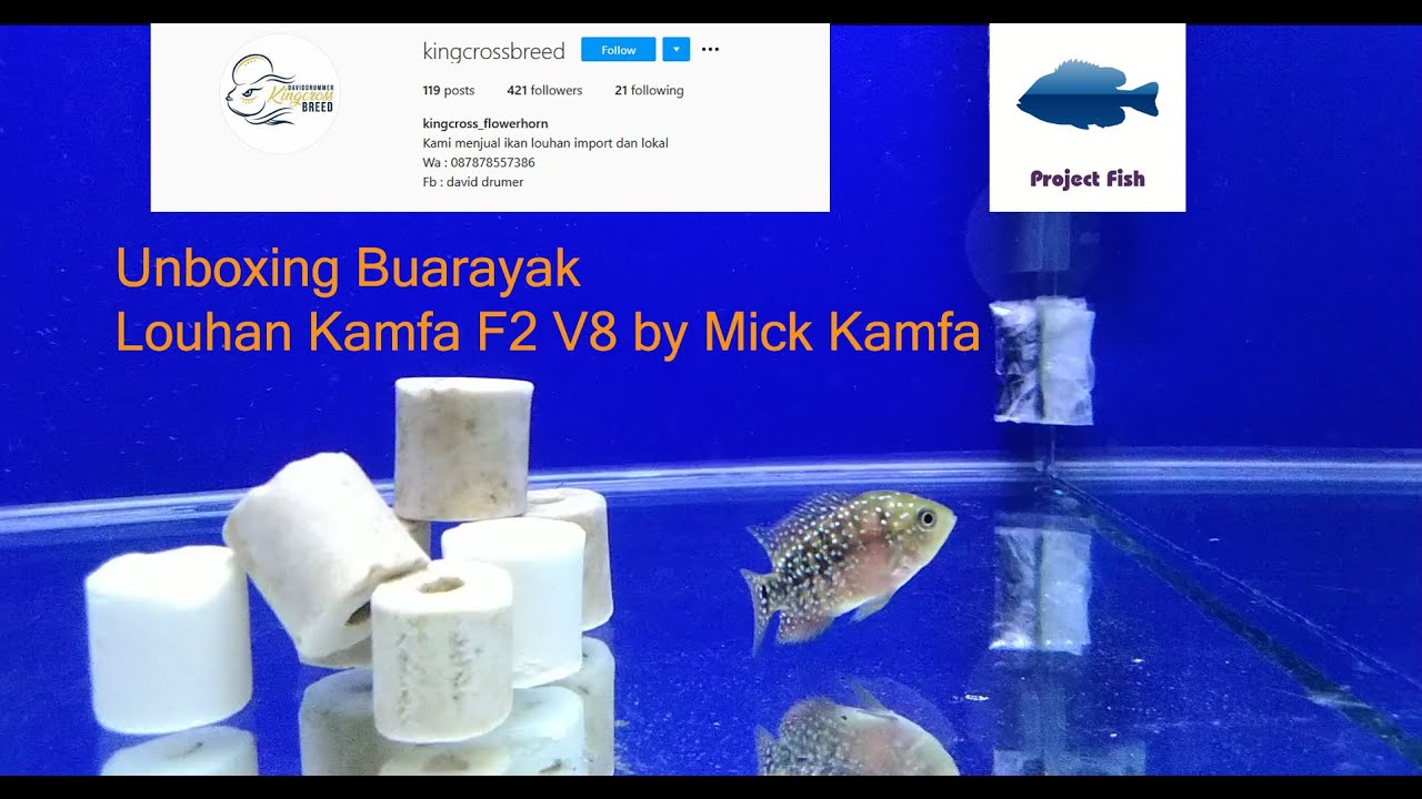 Unboxing Burayak Louhan Kamfa F2 V8 by Mick Kamfa - YouTube