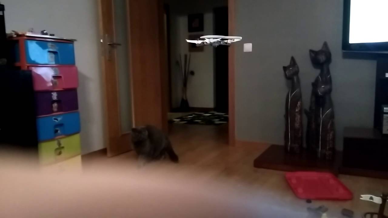 Scott vs Drone - YouTube