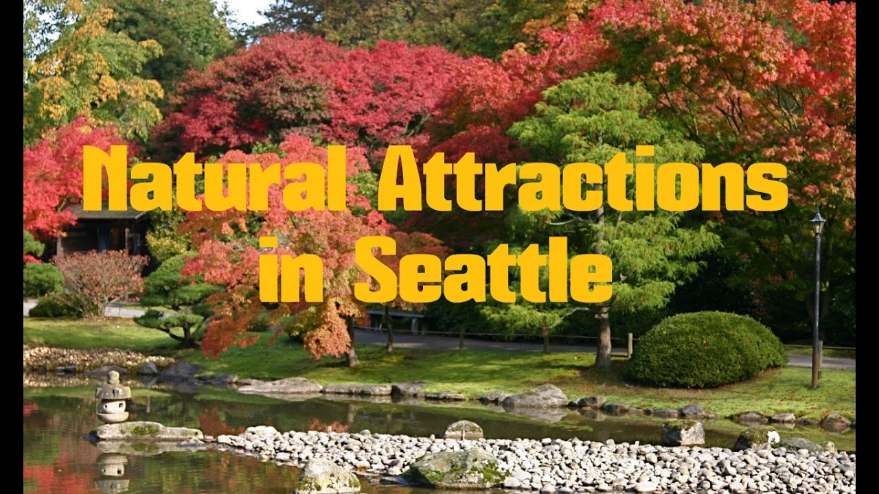 TOP 14. Parks and Natural Attractions in Seattle - Travel State ...