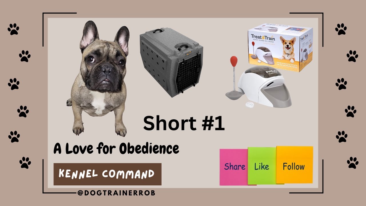 Love for the Kennel Command - YouTube