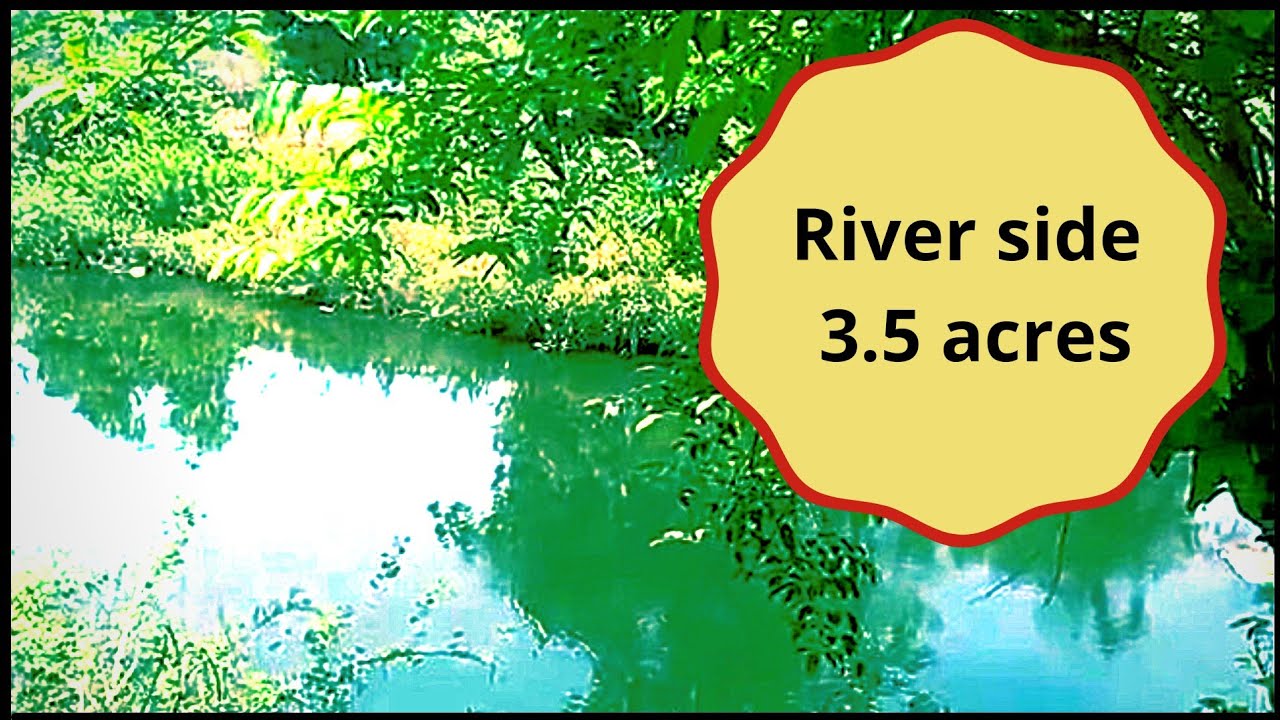 Id 111/15 The river touch plot 3.5 acres whatsapp 9371129848 - YouTube