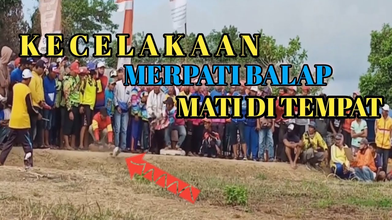 MERPATI BALAP SPRINT MATI DI TEMPAT - YouTube