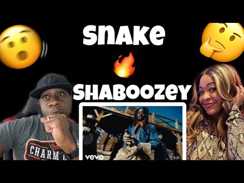 This Is Lit!!! Shaboozey - Snake (Reaction) - YouTube