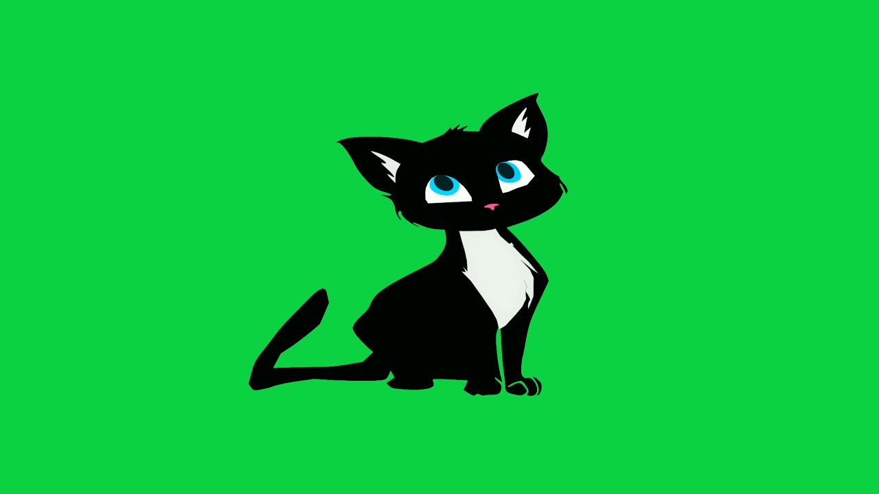 cute cartoon black cat animated free green screen video. - YouTube