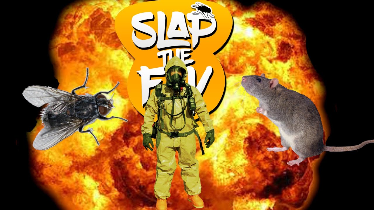 Slap the fly grane przez profesjonalistów - YouTube