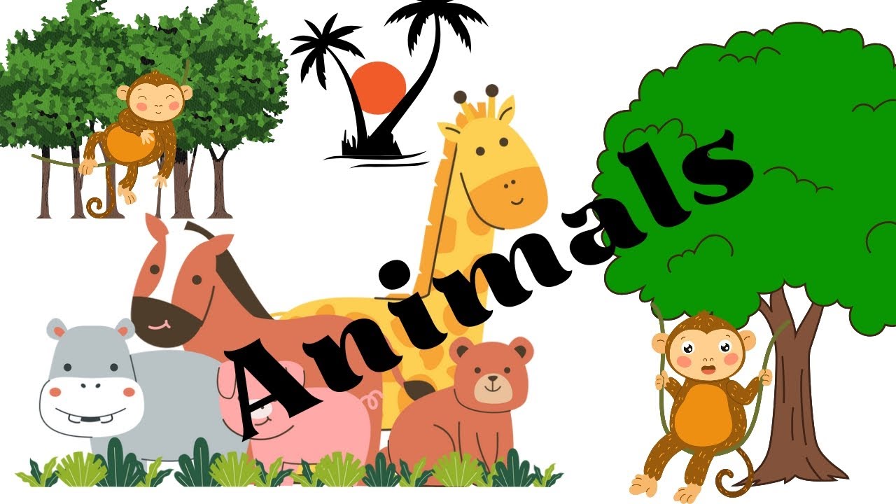 Animals for preschool - kindergarten animals name learning videos ...