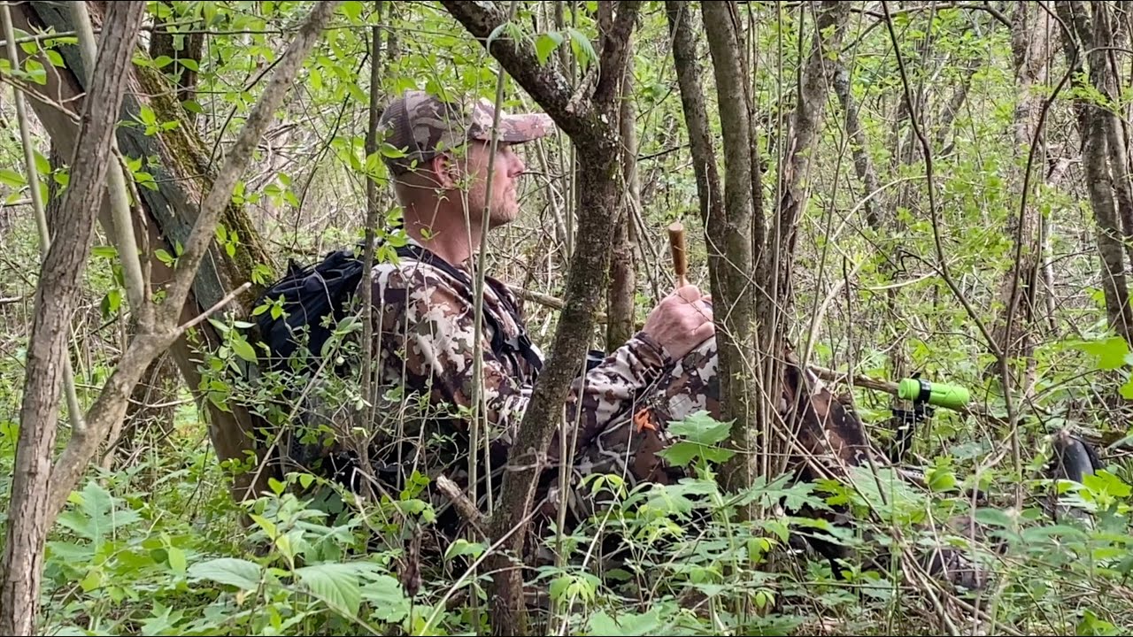 TN Public Land Turkey Tour - Stop 2 - Percy Priest WMA - YouTube
