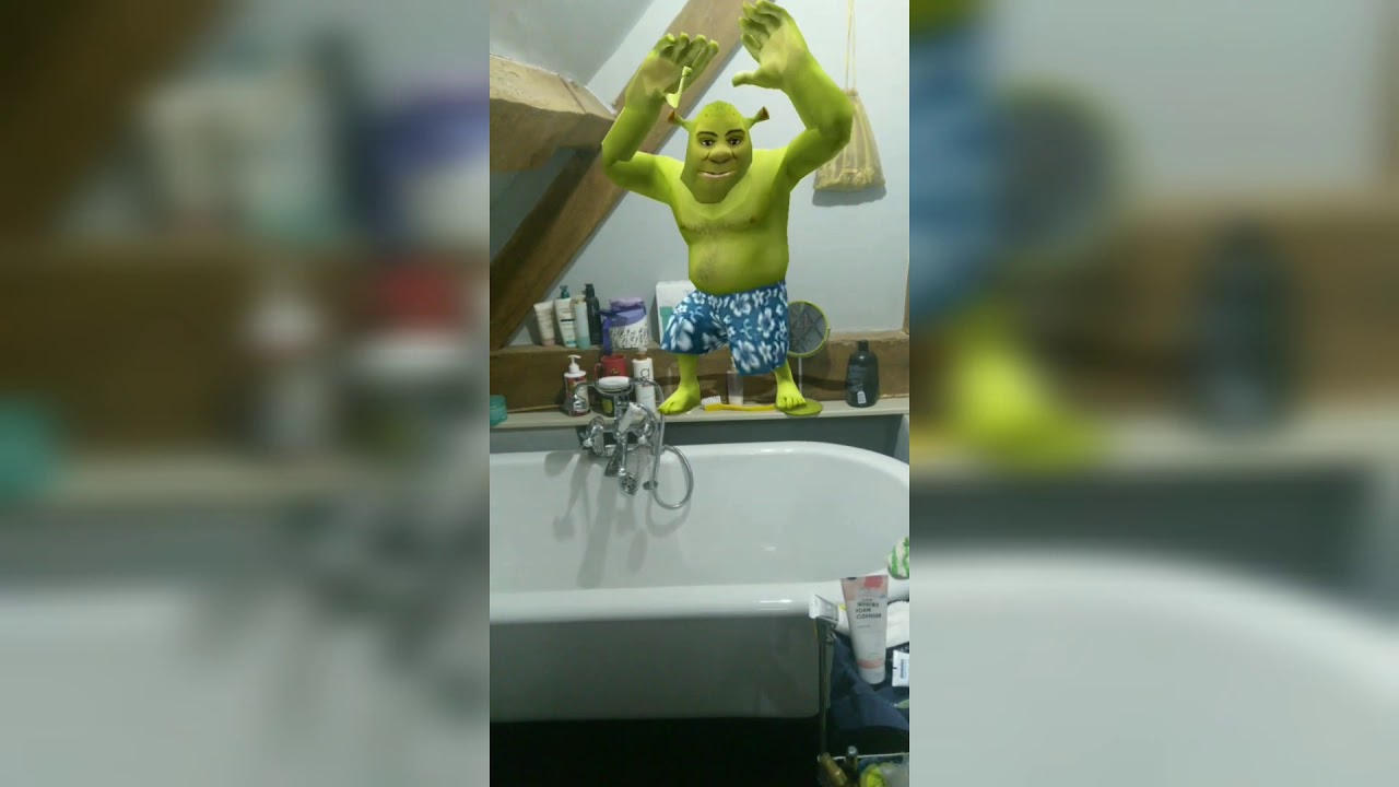 Shrek is dancing in my bathroom - YouTube