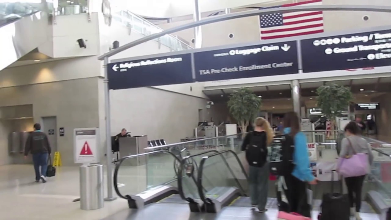 TRIP REPORT | Phoenix to Detroit | Delta | Boeing 737-900 - YouTube