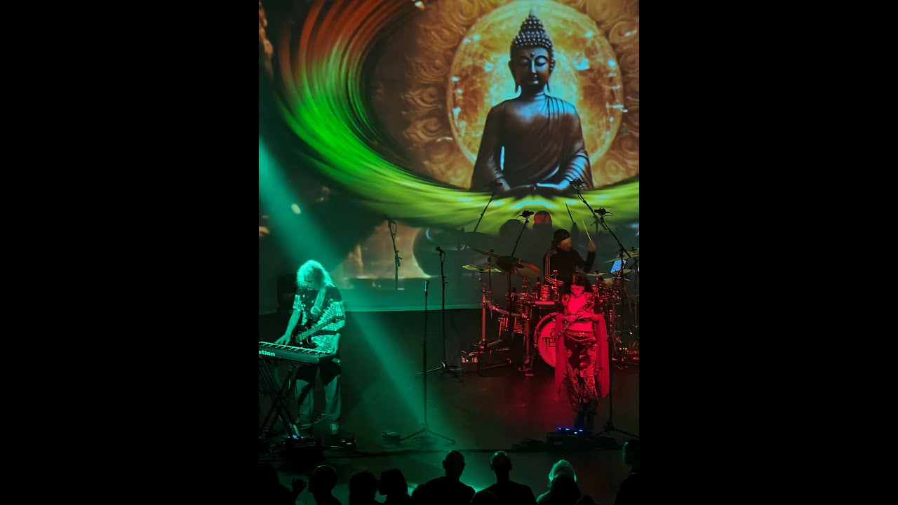 Lotus Unfolding - Ozric Tentacles - YouTube