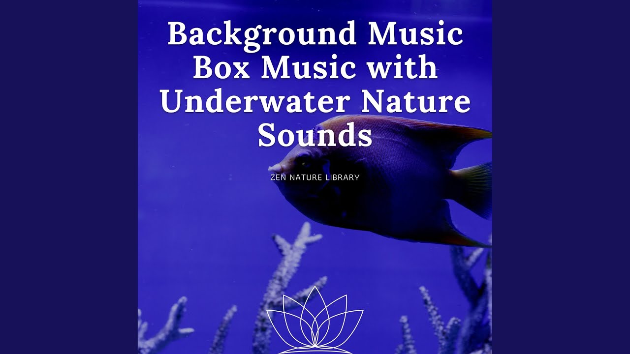 Sweet Background Music, Steady Underwater - YouTube