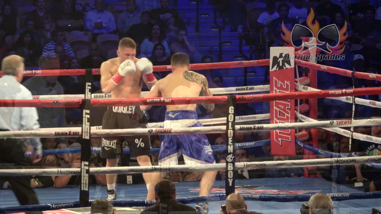 Jason Quigley vs Glen Tapia fight highlights - YouTube