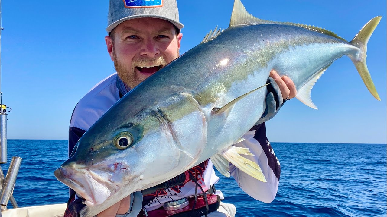 Fishing for the kings of the reef! (Catch, clean, eat) - YouTube