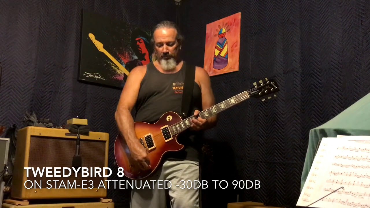 Tweedy Bird 8 Demo - YouTube