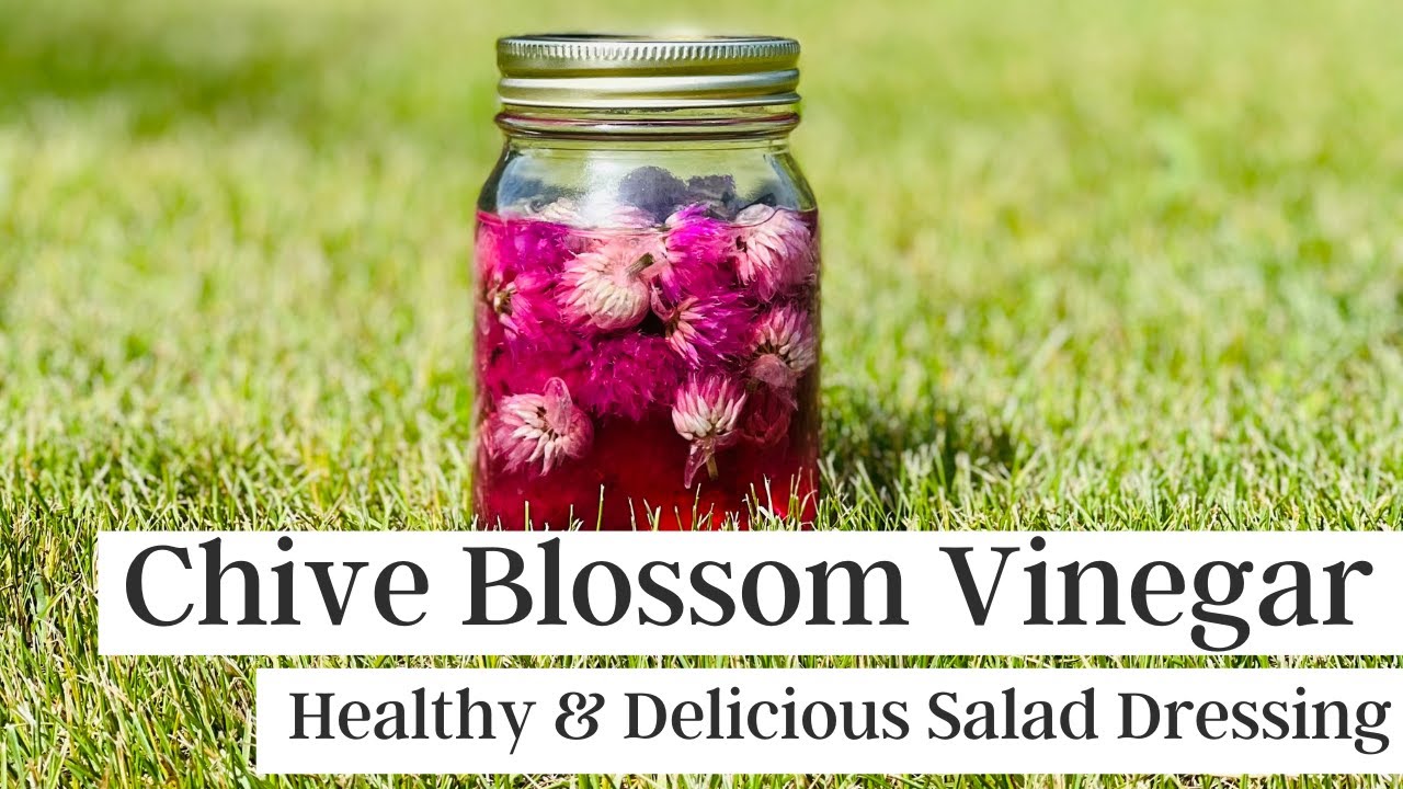 How to Make Chive Blossom Vinegar - A Bright Pink, Super Healthy ...