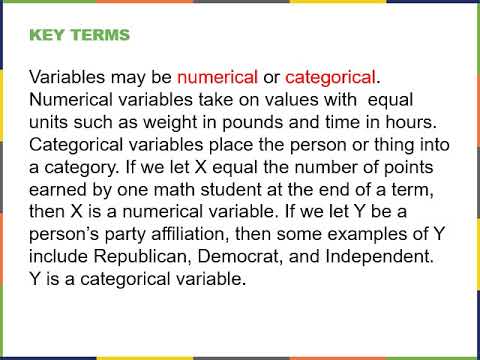 OpenStax Introductory Business Statistics Presentation - Chapter 01 ...