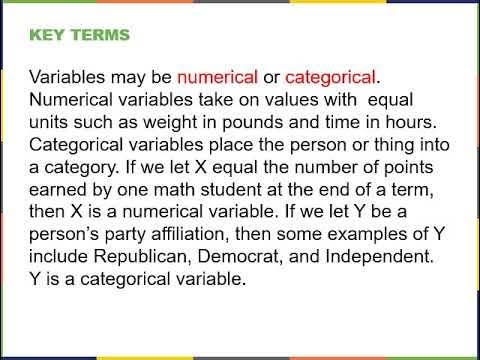 OpenStax Introductory Business Statistics Presentation - Chapter 01 - YouTube
