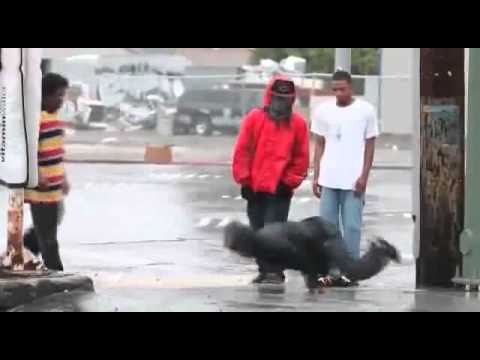 Best Turf Dancing In The Rain - YouTube