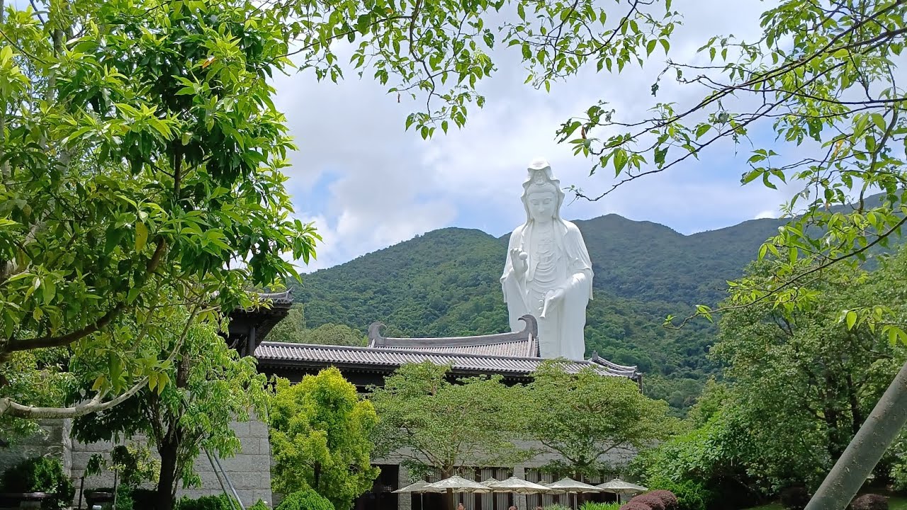 Tsz Shan Monastery Tai Po hongkong - YouTube
