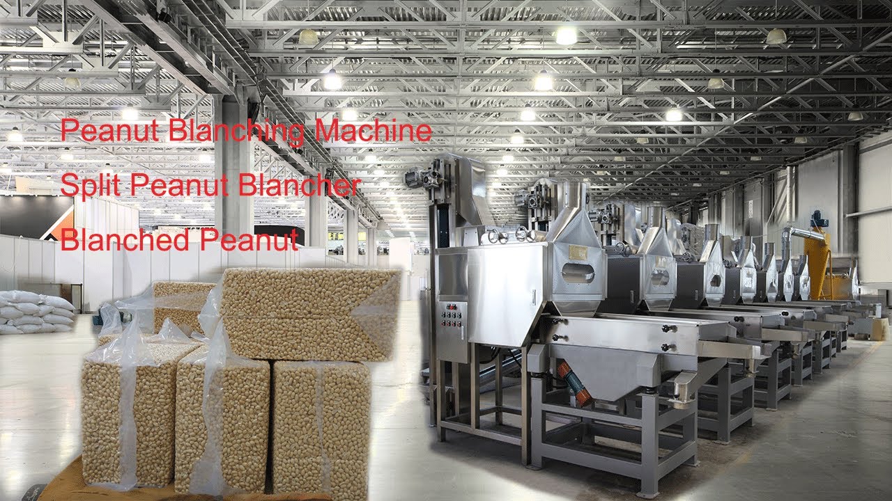 Peanut Blanching Machine- Split Peanut Blancher - Peanut Peeling ...