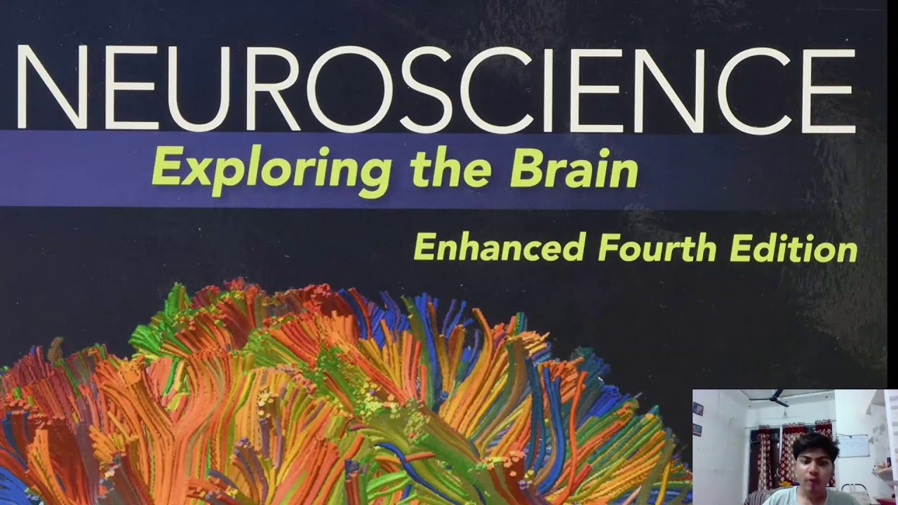 Mark F. Bear, Barry W. Connors, Michael A. Paradiso - Neuroscience ...