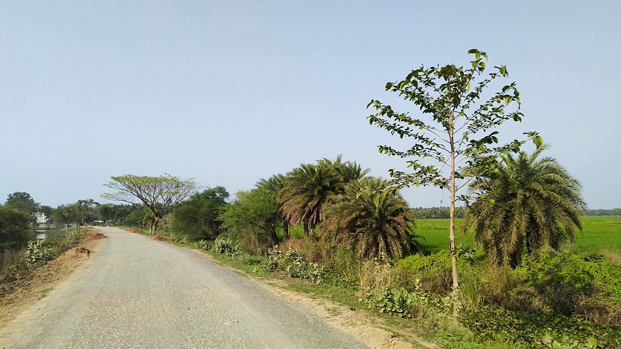 Way to dagara sea beach Orissa 1 - YouTube