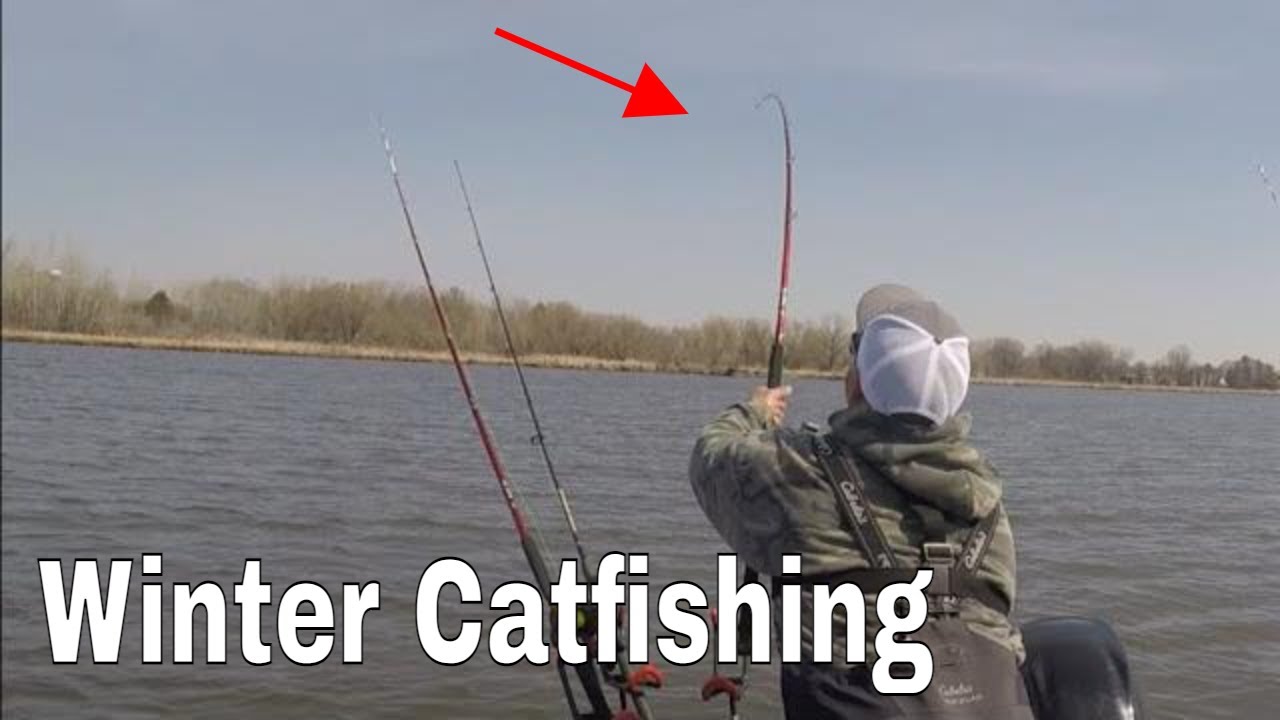 Fishing for Winter Catfish with Bluegill - YouTube