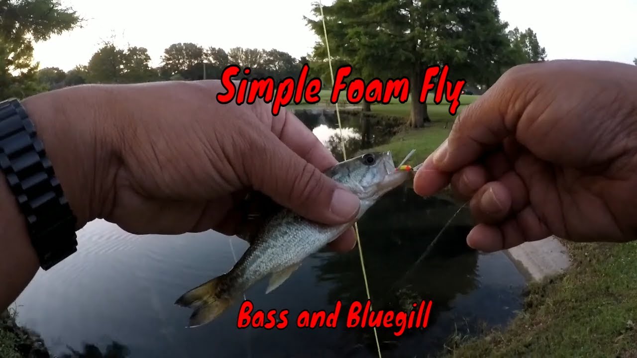 Pond Fly Fishing | Bass and Bluegill on the Simple Foam Fly - YouTube