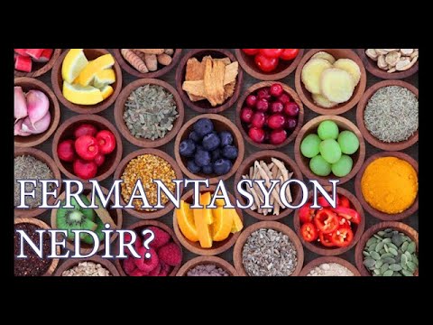 Fermantasyon Nedir? - Doğanın büyüsü