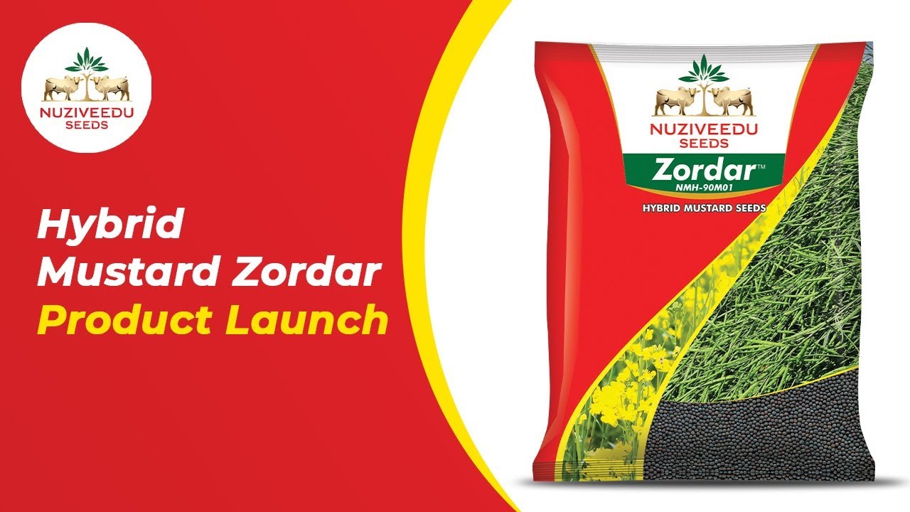 Mustard Zordar Product Launch || Nuziveedu Seeds - YouTube