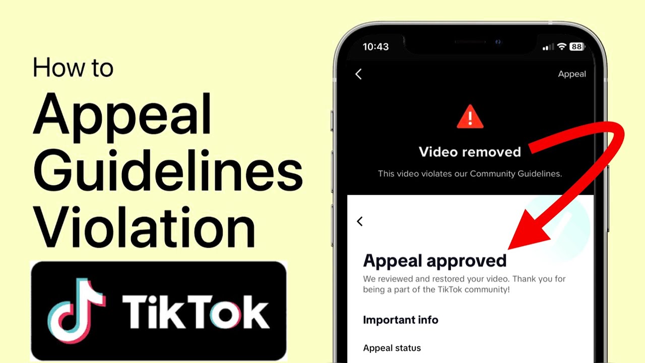 របៀប Appeal TikTok ងាយៗ How to Appeal TikTok community guidelines ...
