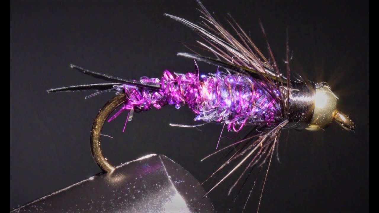FLY TYING: DON FRESCHI's Purple Prince Nymph - YouTube