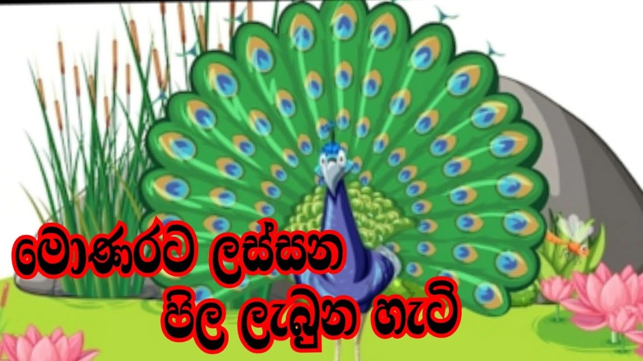 ලස්සන වුන මොණරා |lassana una monara |ළමා කතන්දර සිංහල |lama kathandara ...