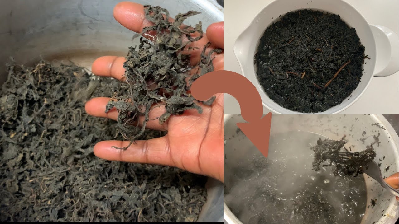 How To Make Dry Bitter Leaf Fresh Easily | Make Dry Bitter Leaf Soft In ...