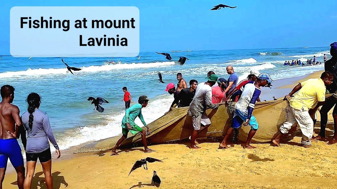 Fishing at Mount Lavinia beach #SriLanka #beach #fishing - YouTube