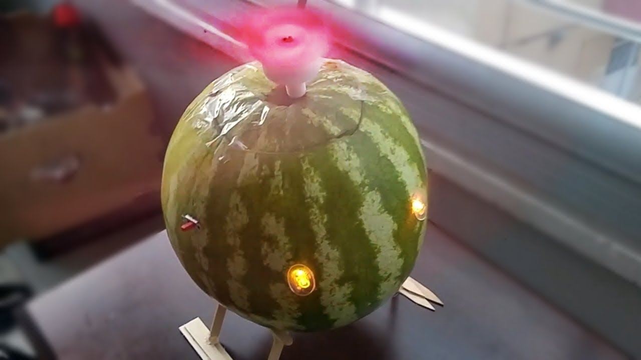 How To Make Helicopter Watermelon Helicopter Diy - YouTube