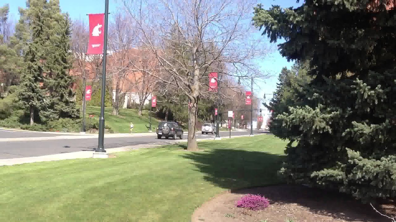 Washington State University Entrance - YouTube