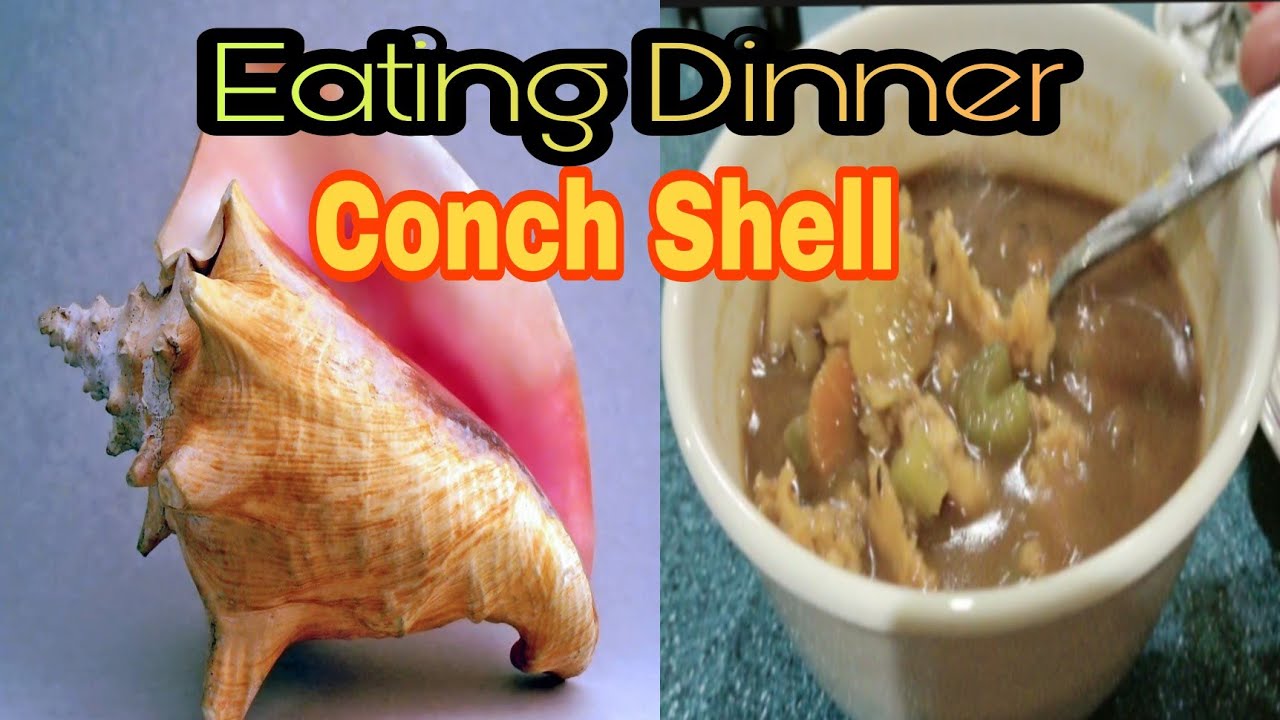 Eating Conch Shell Soup For My Dinner - YouTube