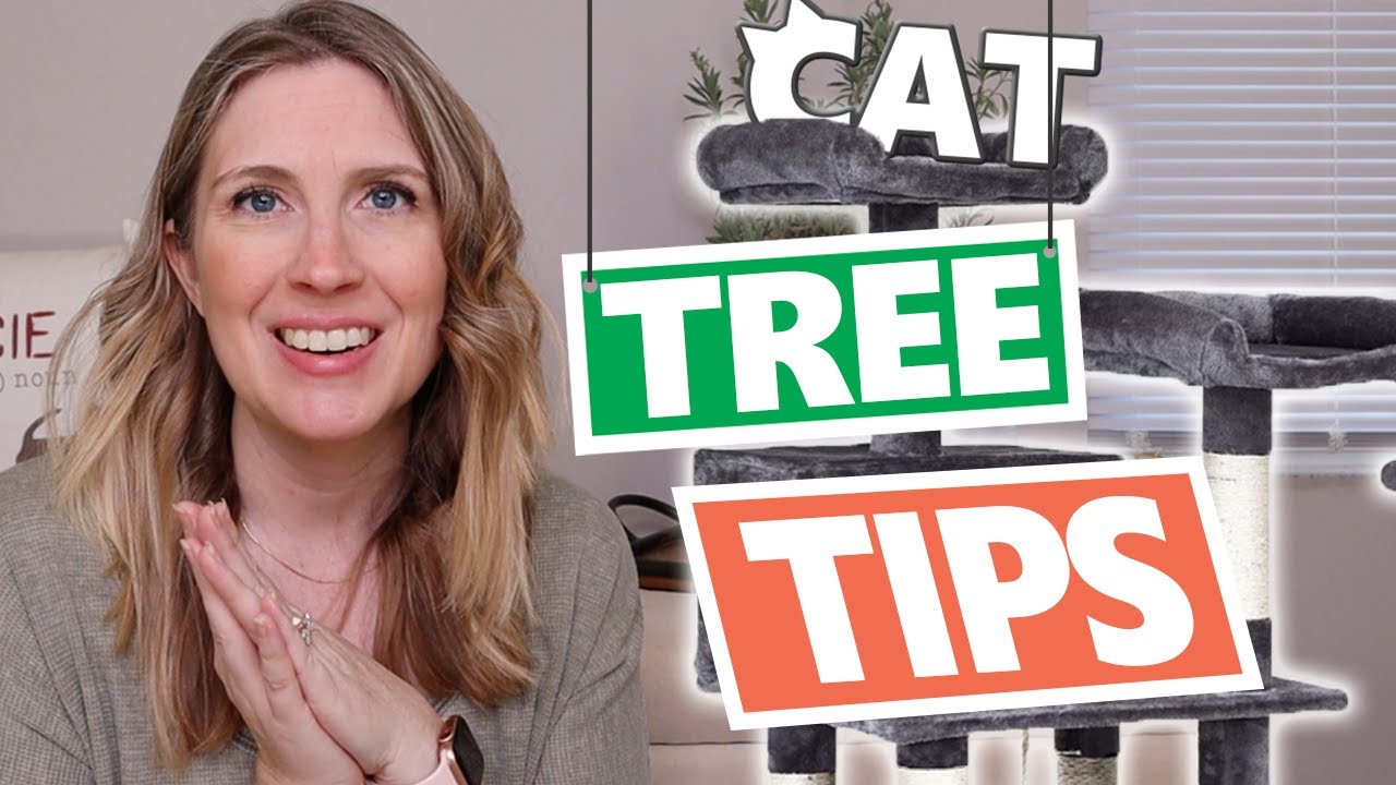 Cat Tree Assembly and TIPS for Cat Spaces 😻 - YouTube