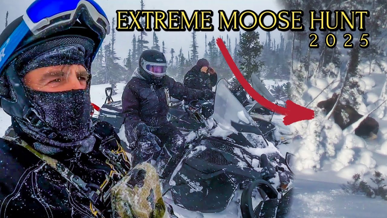 Moose Hunting in EXTREME Winter Conditions! 6 Day REMOTE Cabin Trip - YouTube