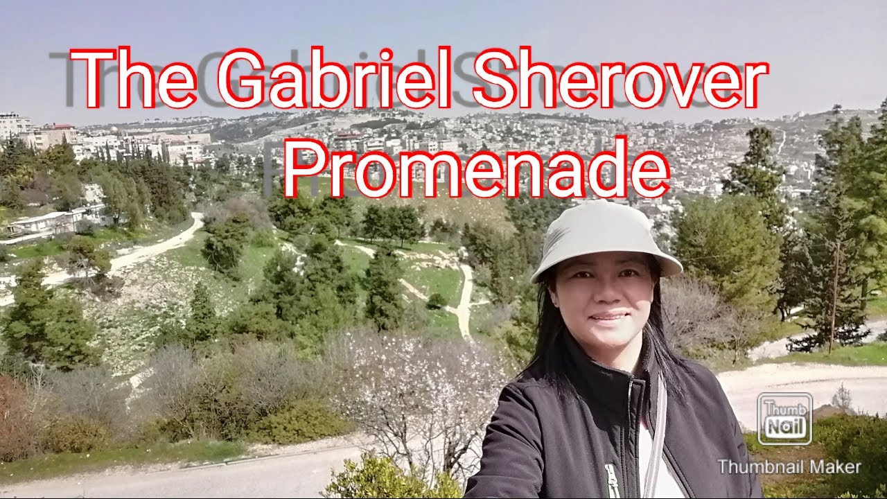 What you see in The GABRIEL SHEROVER PROMENADE / PART 4 - YouTube