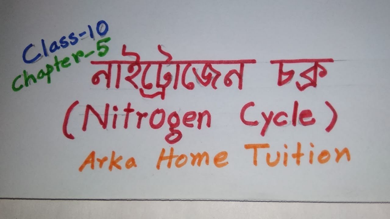 Nitrogen Cycle, Envs , class 10, Life science, chapter 5,Bio ...