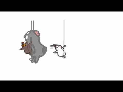 Bunny Pole DANCE