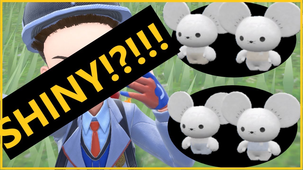 How to get your own Shiny Tandemaus! - YouTube