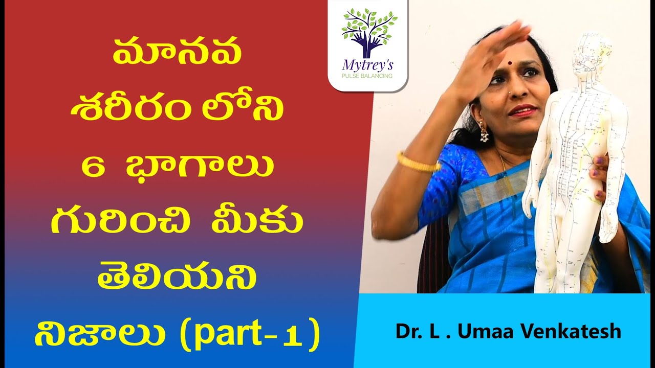 Facts About Human Body In Telugu 6 part 1 facts-about-human-body-in-telugu-6-part-1