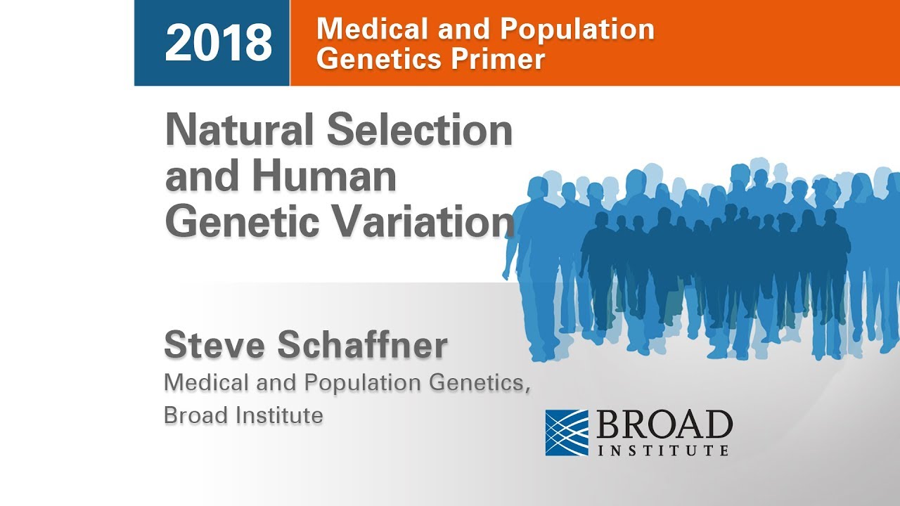 Variation In Humans