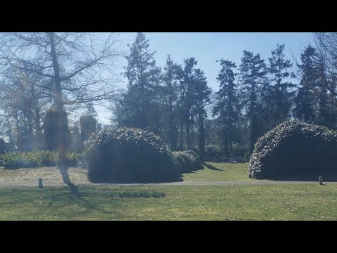 musluman mezarligi ziyaret hollanda #musluman #mezarligi - YouTube