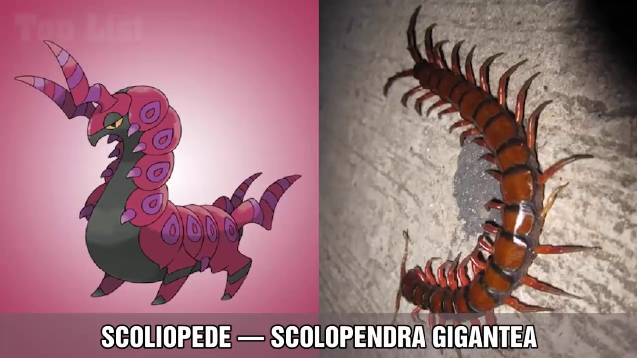 30 Pokemon That Actually Exist in Real Life 3. Great - YouTube