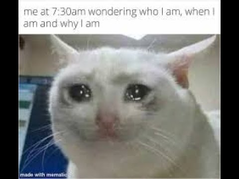Hilarious Memes that Will Leave You Wanting More! - YouTube