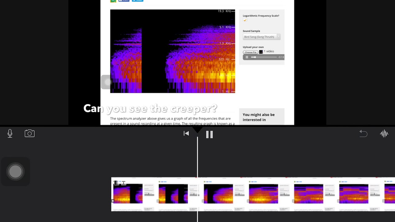 Cave 14 Played Through a Spectrogram - YouTube